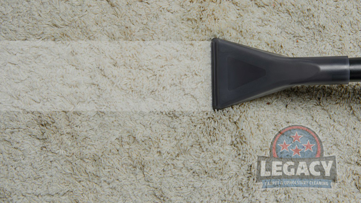 5 Tips For Savvy Shoppers When Buying Carpets